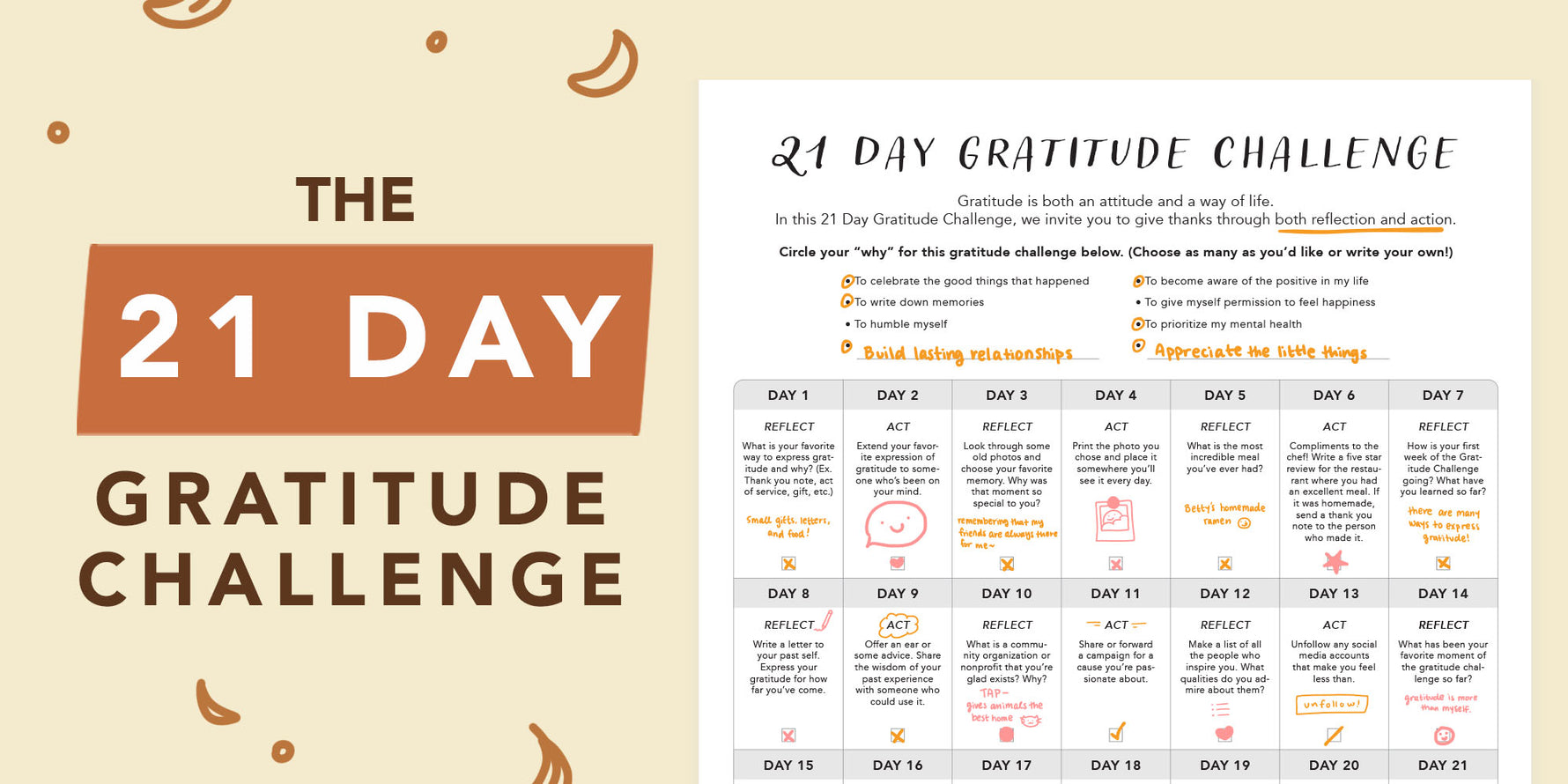 Your Guide to the 21-Day Gratitude Challenge – Passion Planner