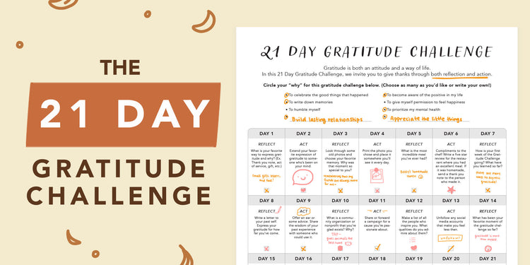 Your Guide to the 21-Day Gratitude Challenge – Passion Planner