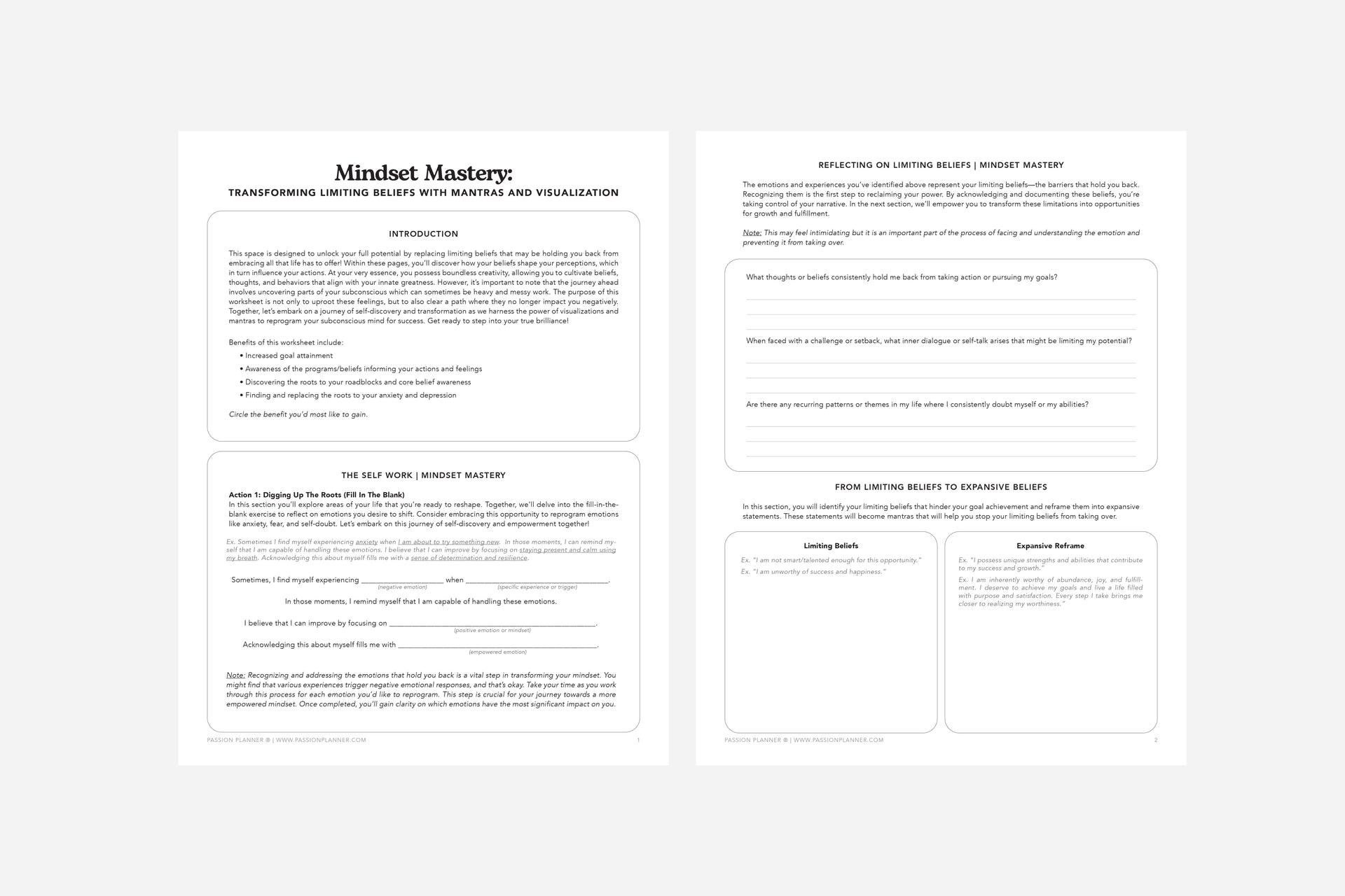 Transforming Limiting Beliefs Worksheet | Free Printable | Passion Planner