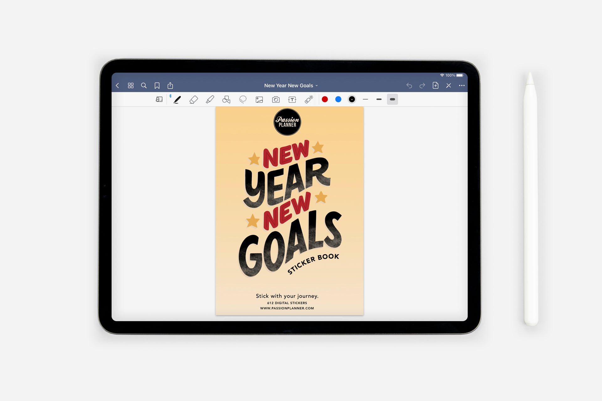 Digital New Year New Goals Sticker Book | Passion Planner
