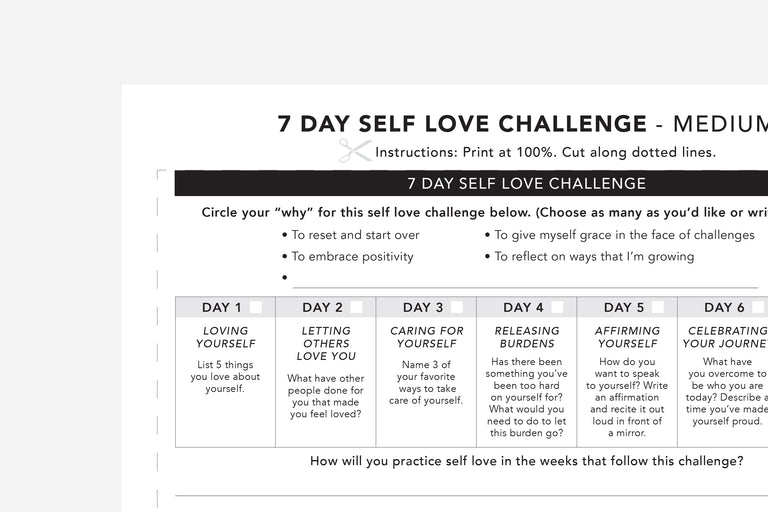 Worksheets, Reflections, and Challenges — Passion Planner