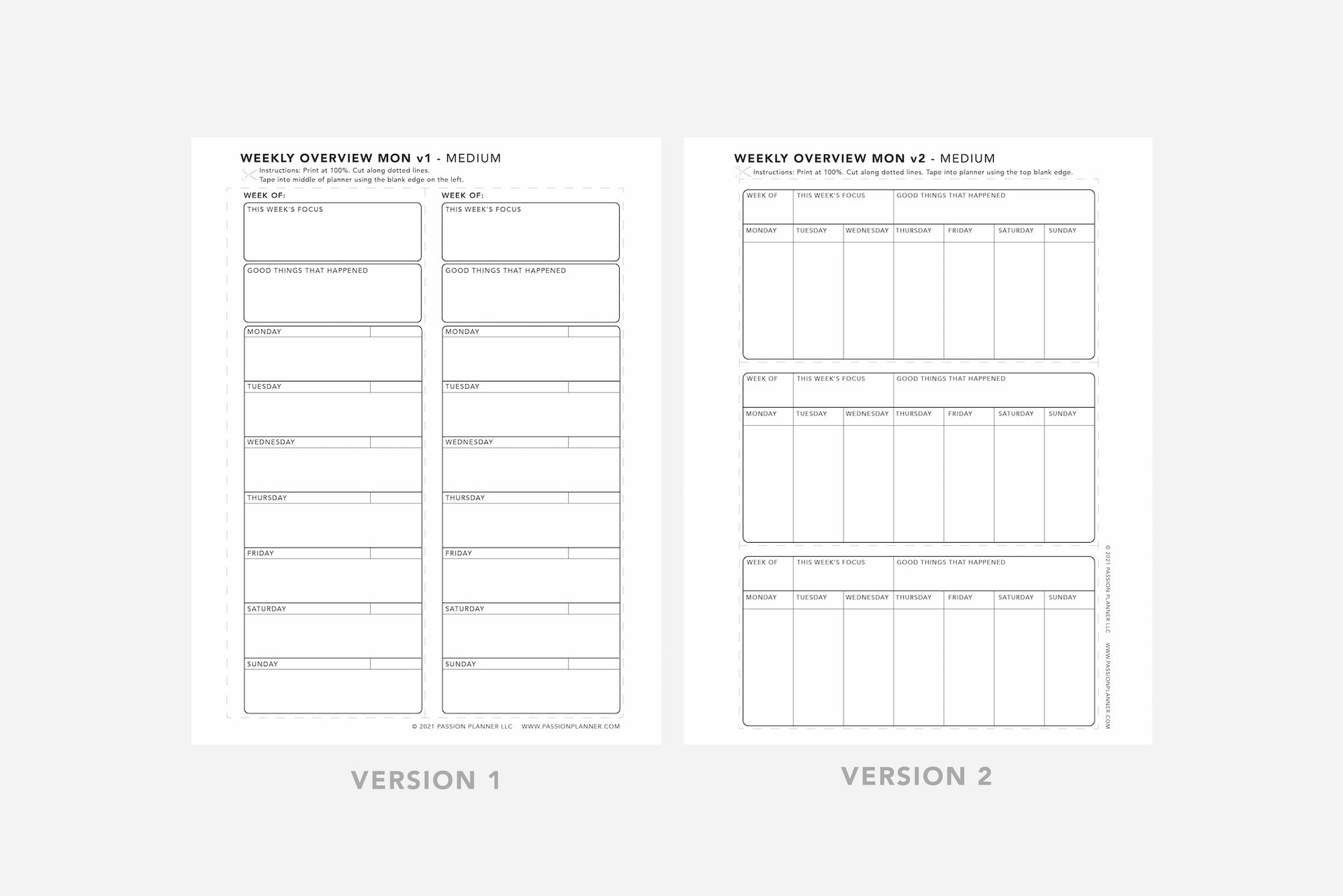 Weekly Overview | Free Printable | Passion Planner