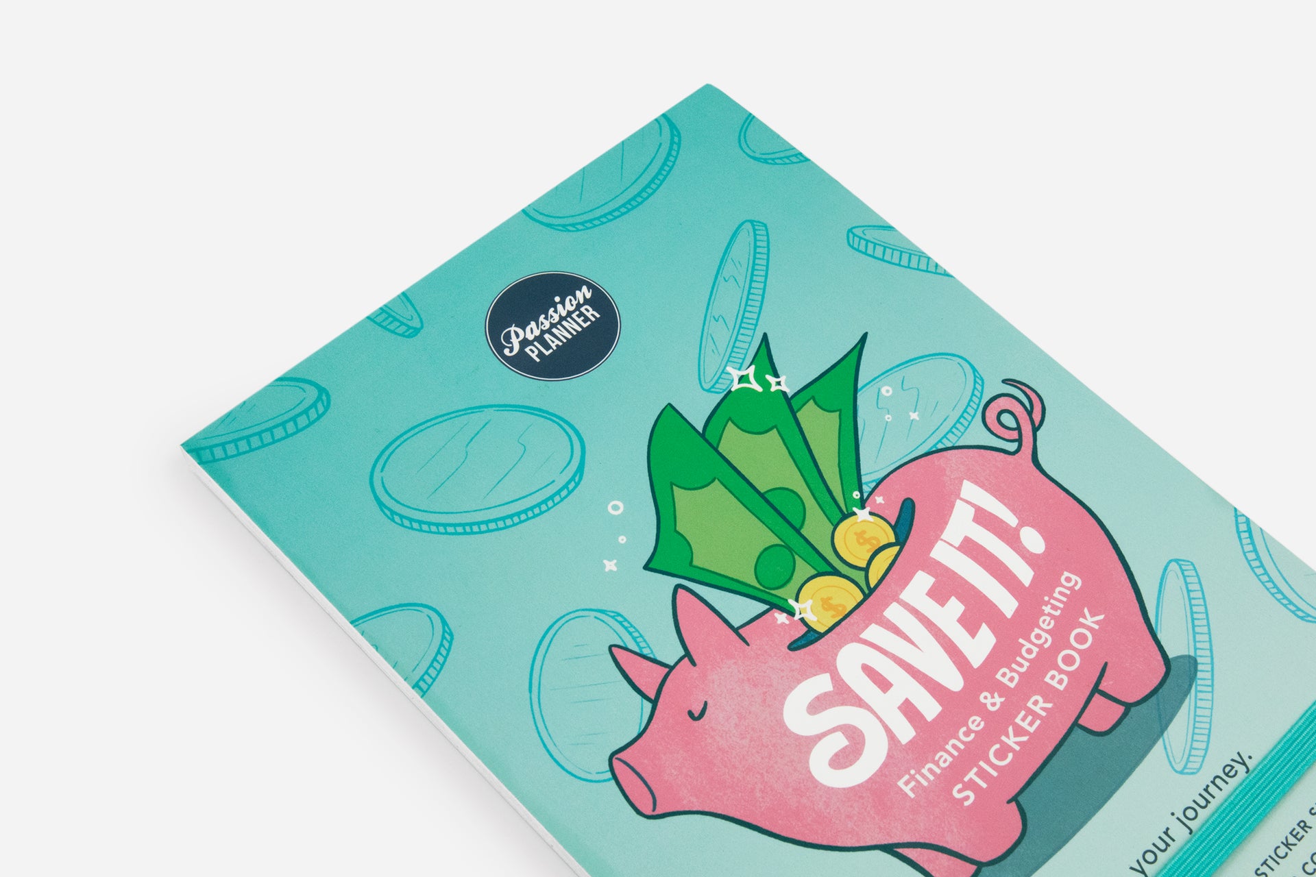 SAVE IT! Finance & Budgeting Sticker Book | Passion Planner