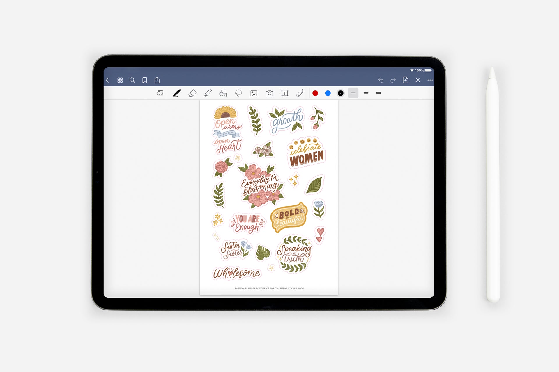 Digital Women's Empowerment Sticker Book | Passion Planner