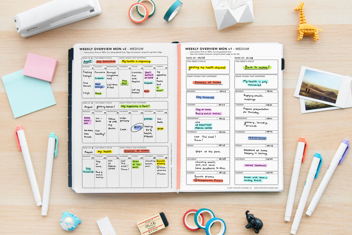 Weekly Overview | Free Printable | Passion Planner