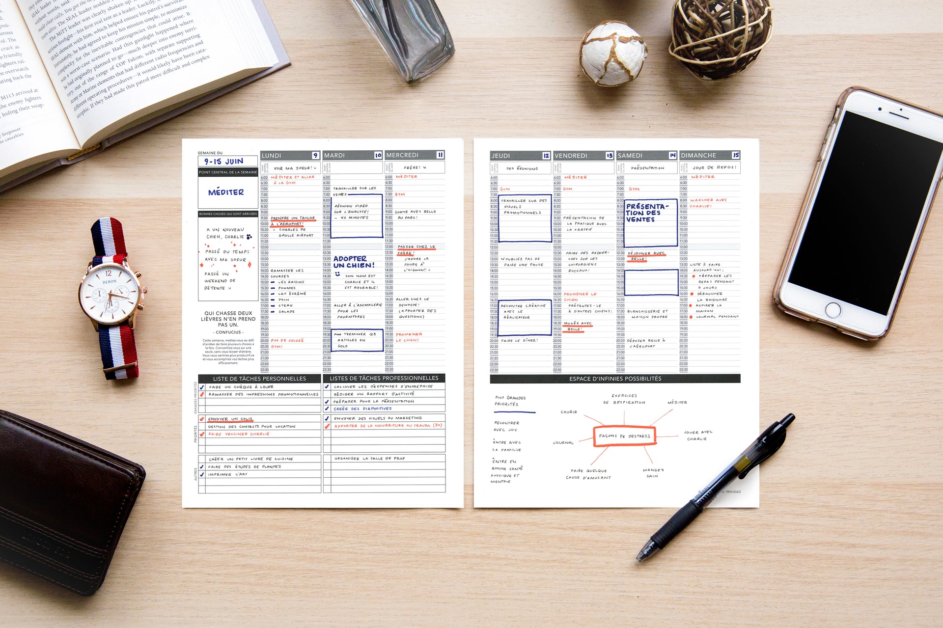 Weekly Undated French PDF | Free Printable | Passion Planner