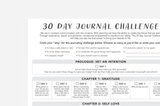 30 Day Journal Challenge PDF | Free Printable | Passion Planner