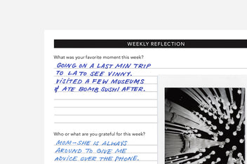 Weekly Reflection PDF | Free Printable | Passion Planner