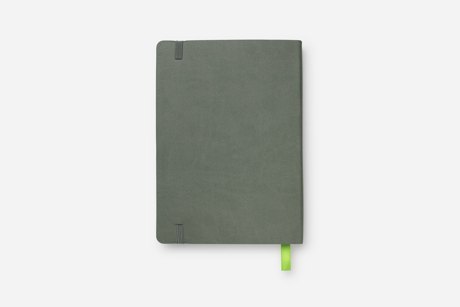Daily Planner | Undated | Sagebrush Green | Passion Planner